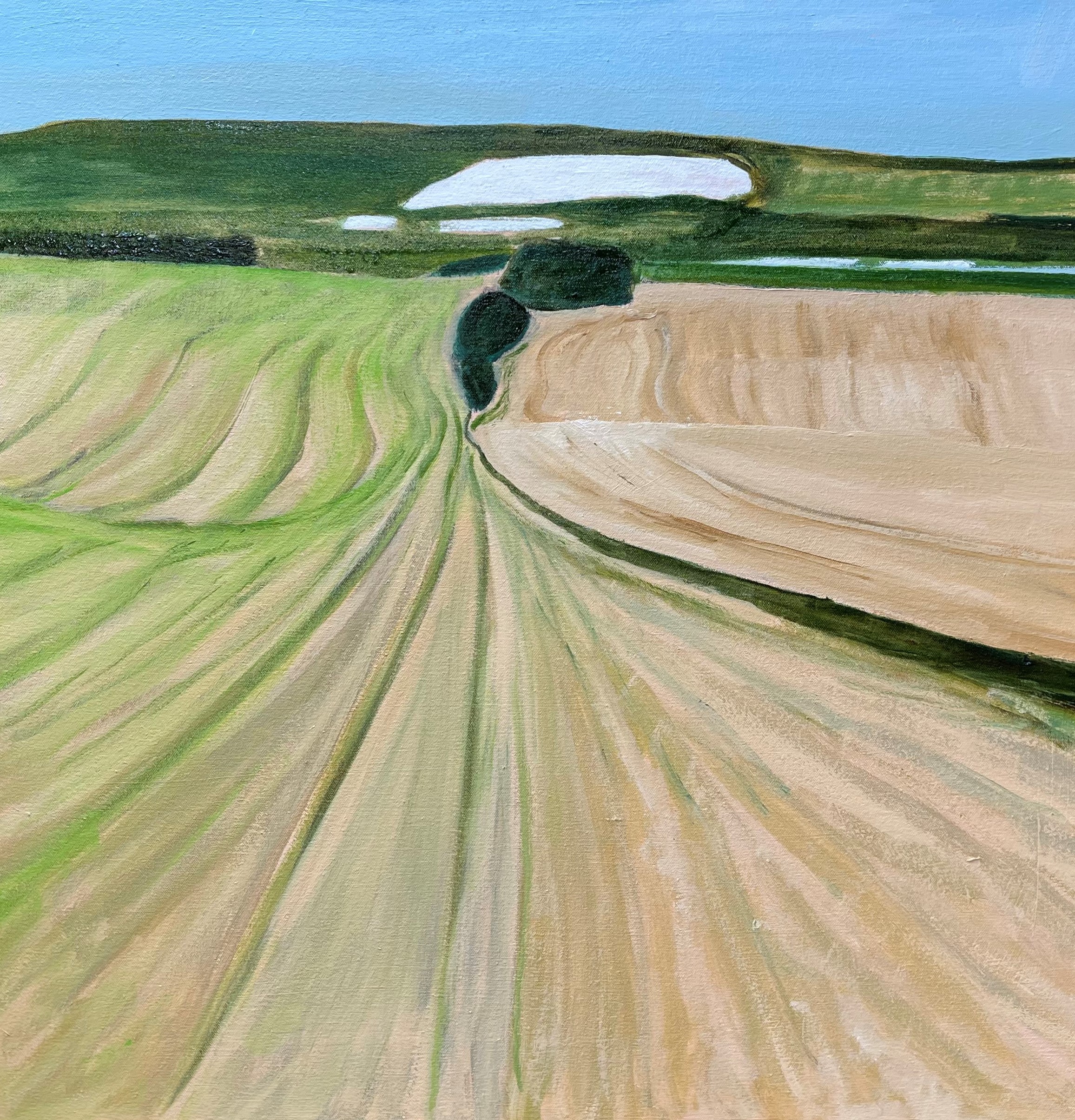 Available Artworks June 2023 – Ann Palmer Artist